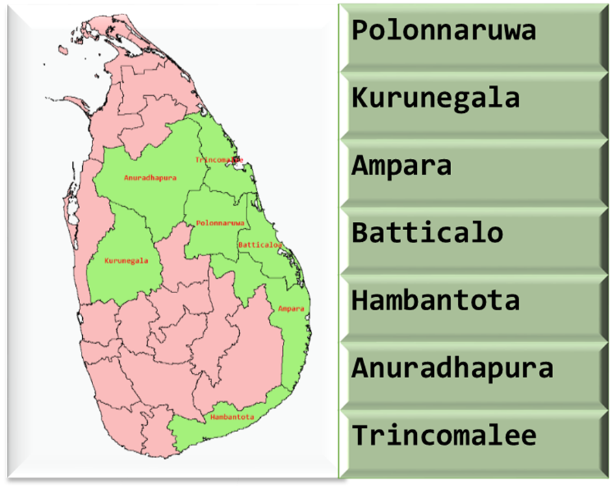 Space Rice – A C C I M T